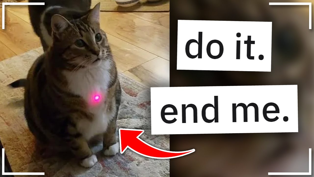 CURSED COMMENTS #34 - YouTube