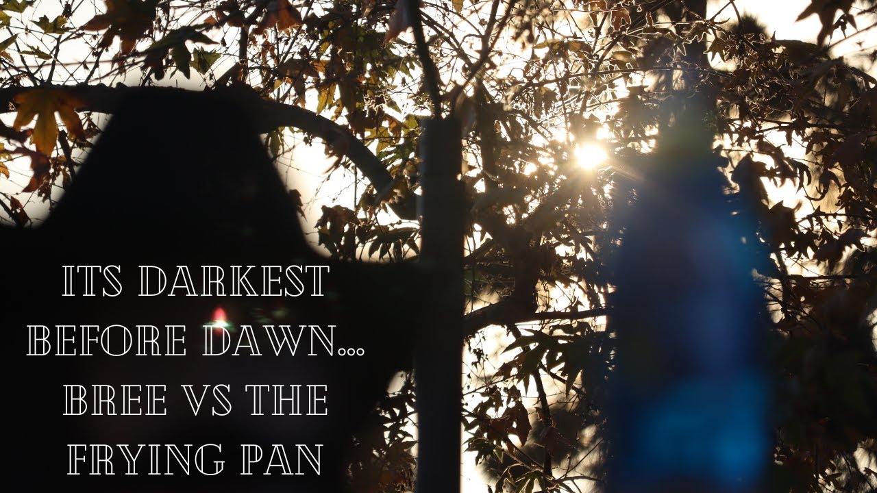 It's Darkest Before Dawn... Bree Vs The Frying Pan - YouTube