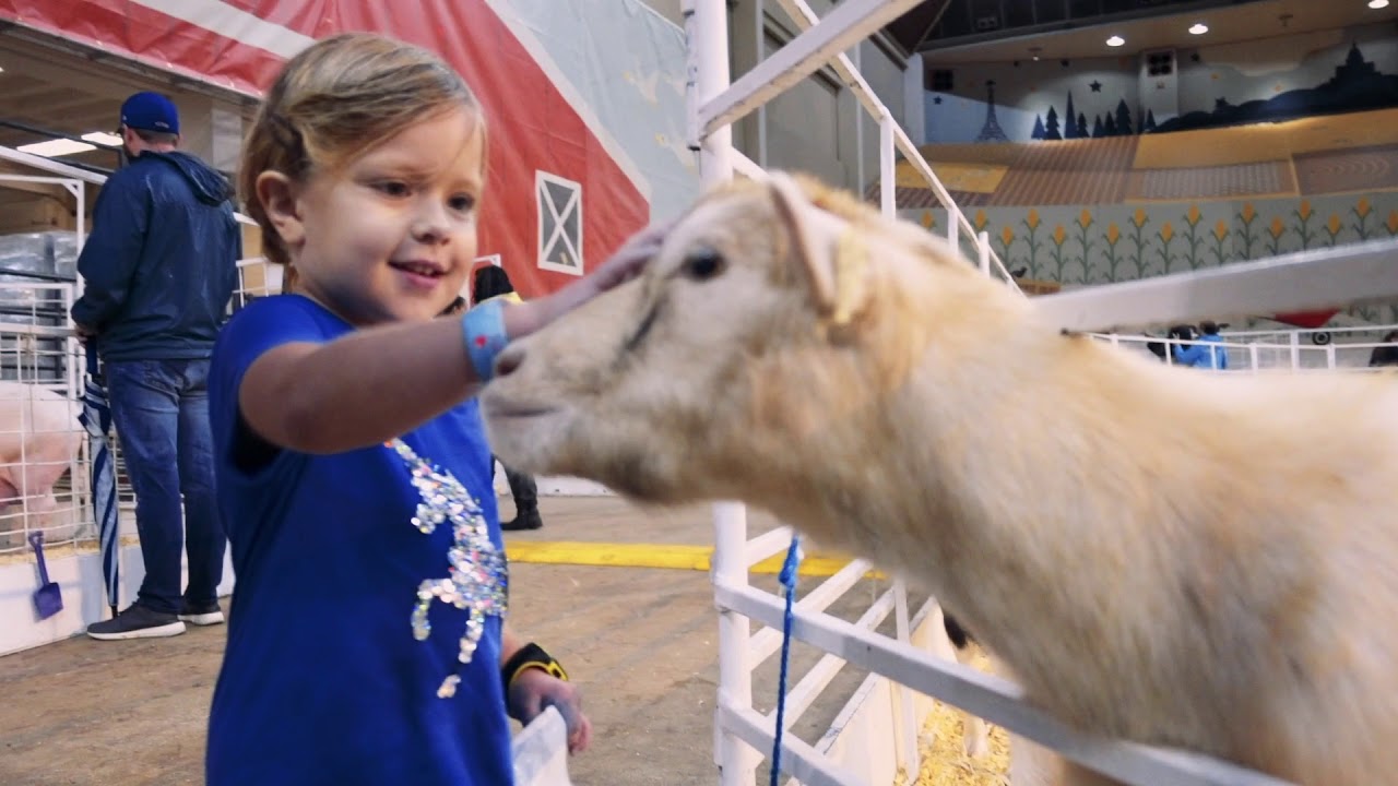 Our Trip to the State Fair of Texas 2018 - YouTube