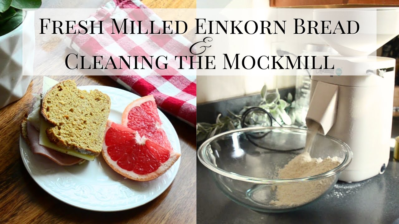 Fresh Milled Einkorn Flour | Whole Wheat Einkorn Sourdough Sandwich ...
