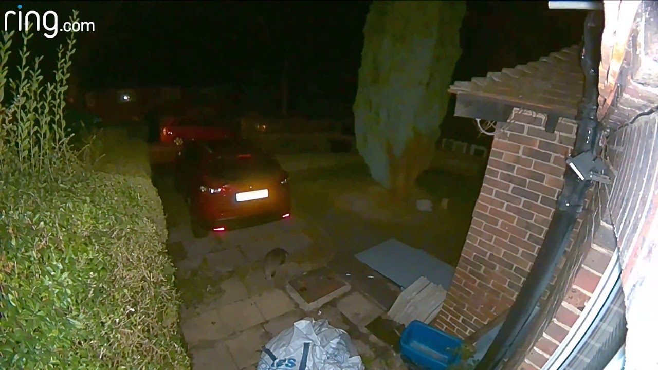 Ring Spotlight Camera. Strange lights caught on security camera - YouTube