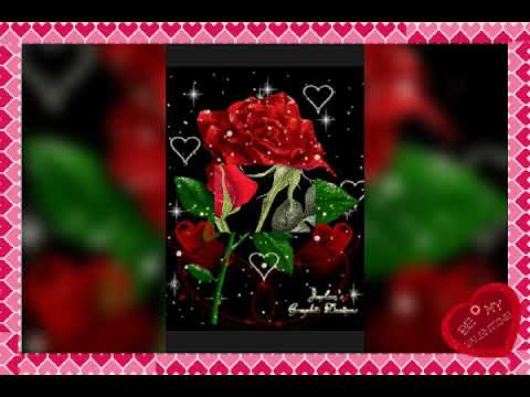 14 fevral.Sevgililer ucun cox ozel.Whatsapp statuslari.