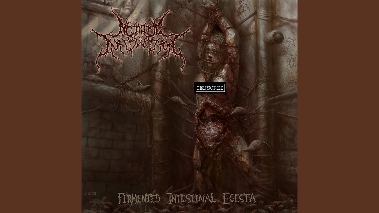 Carnal Abuse - YouTube
