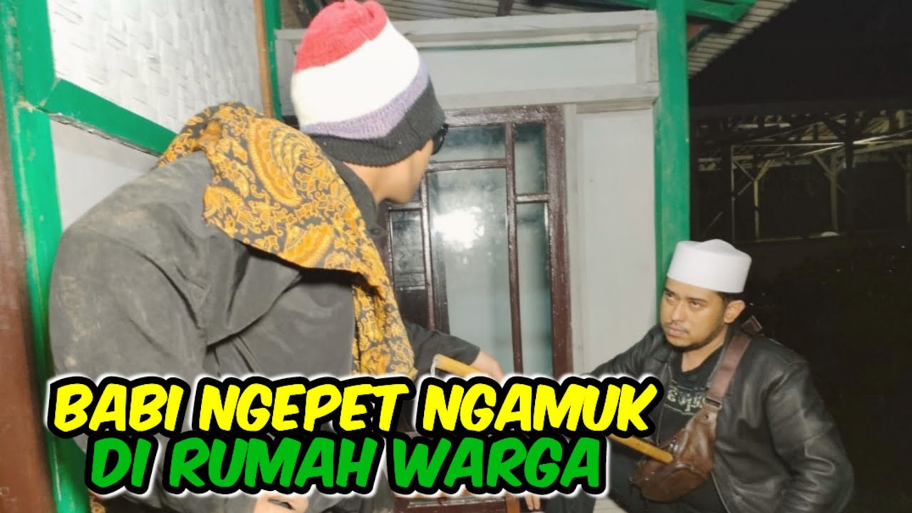 [LIVE] PELAKU BABI NGEPET SERANG RUMAH WARGA PADA TENGAH MALAM - YouTube