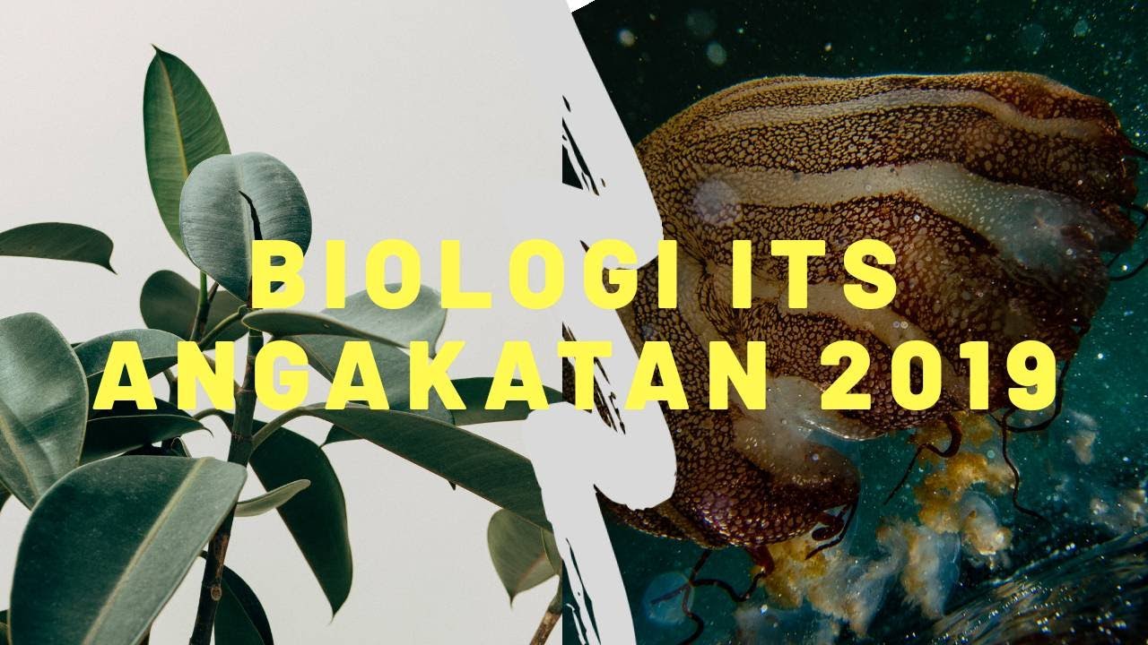 TANYA TANYA MAHASISWA BIOLOGI ITS I ANGKATAN 2019 - YouTube
