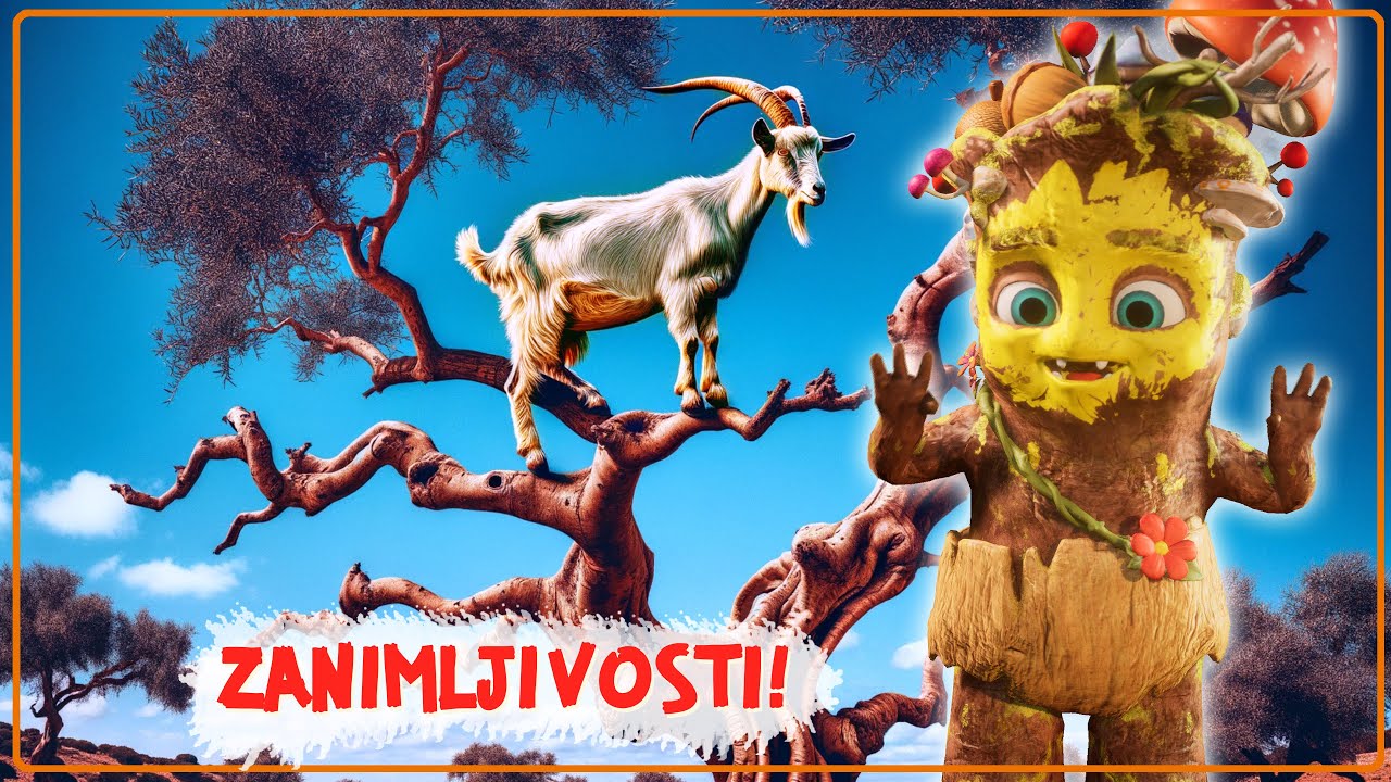#43 ČUDESNE Zanimljivosti o prirodi | Šumsko Znanje - YouTube