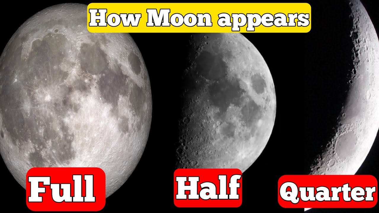 How moon 🌙 appear quater🌒, half🌗, and full 🌕 ||| 😱 #moon - YouTube