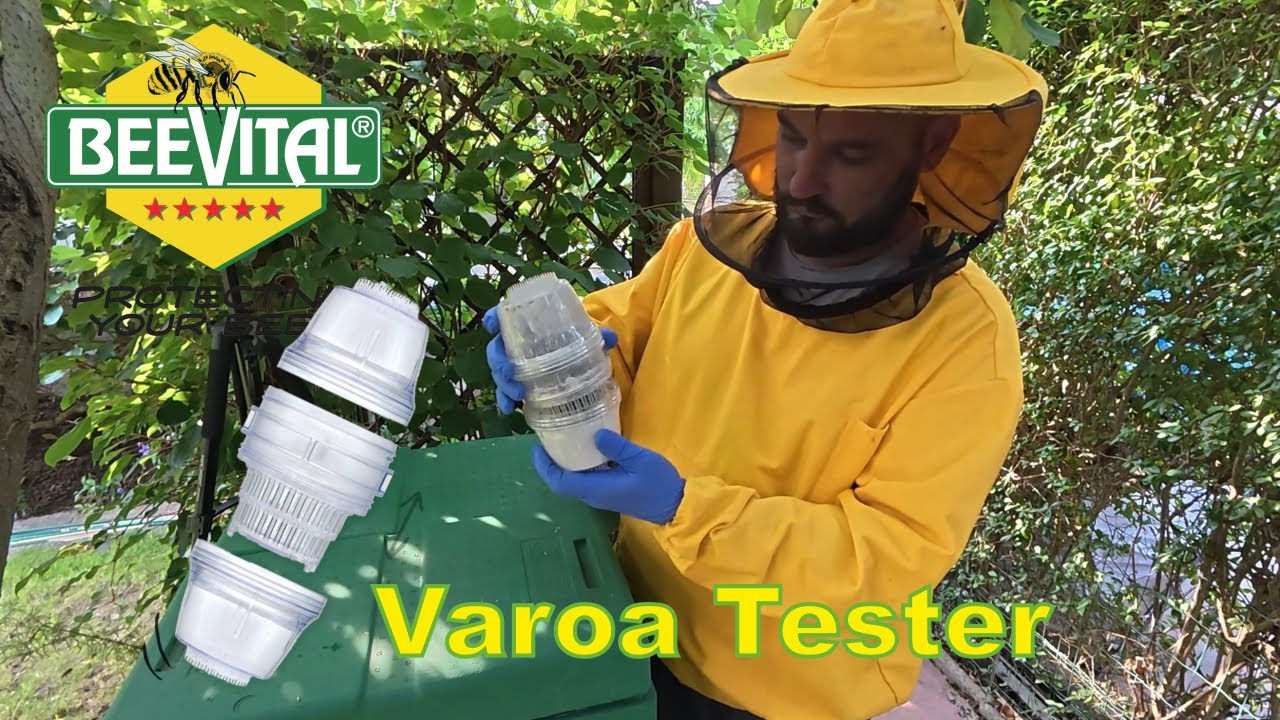 VaroaTester BeeVital – Tri metode testiranja varoe + saveti za tačne ...