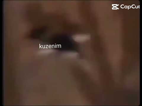 tam olarak böyle