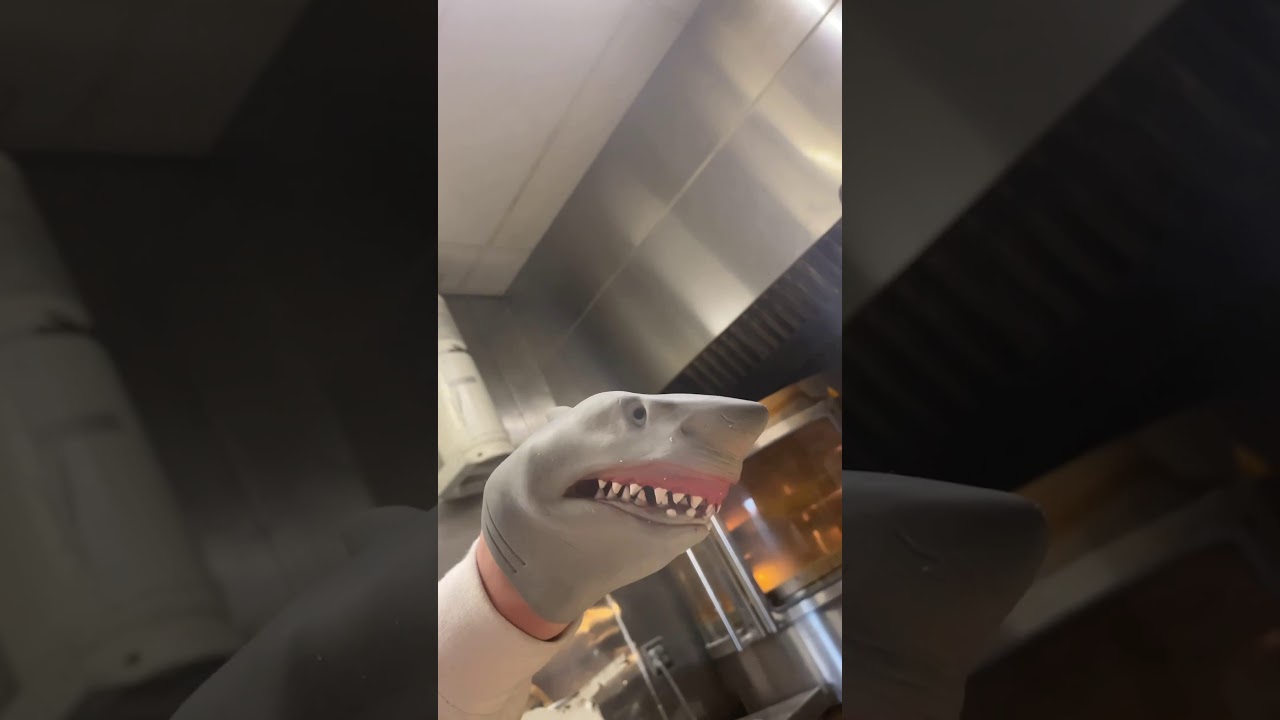 SHARK PUPPET MAKES PIZZA!!!!! - YouTube