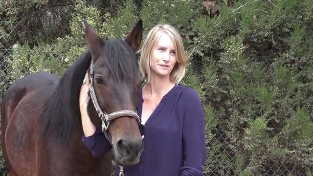 Brave Grace Introduction - YouTube