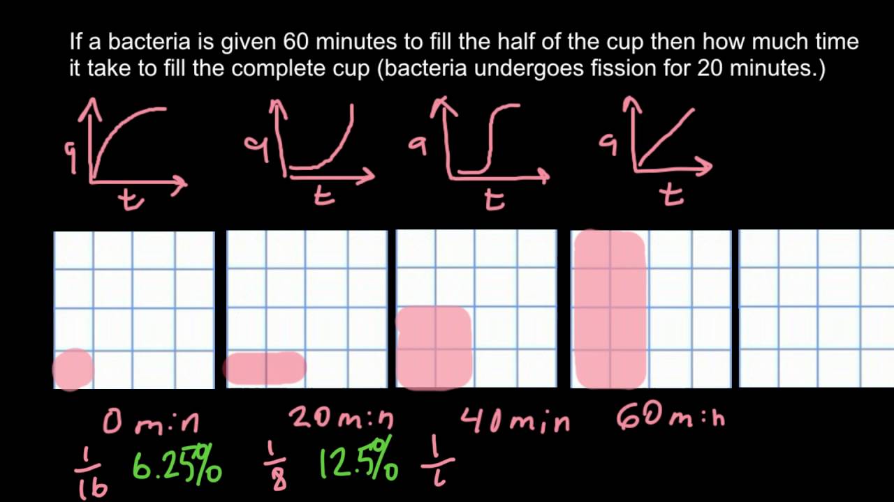 Bacteria growth rate problem and solution - YouTube