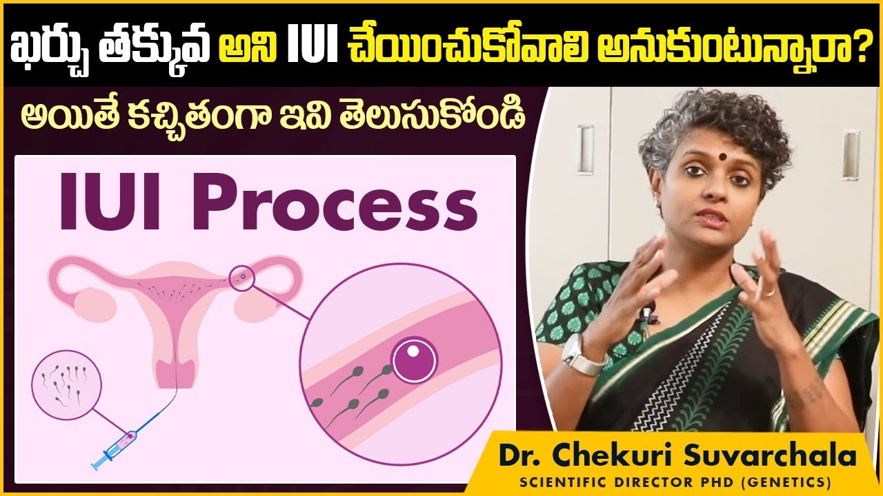 ఖర్చు తక్కువ అని IUIకి వెళ్తే| IUI Process Step by Step in Telugu | Dr ...