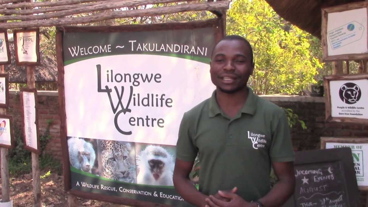 Lilongwe Wildlife Centre - YouTube