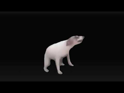 dog dancing to morning flower (android alarm clock meme)