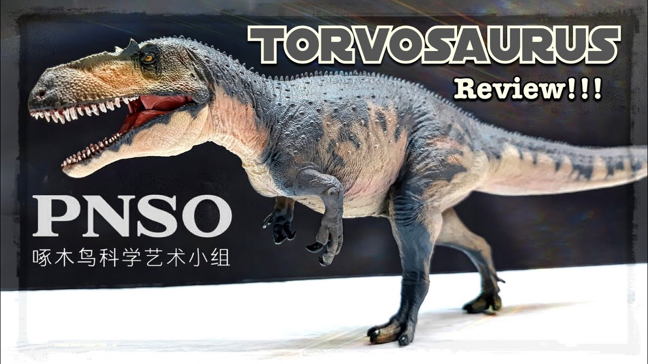 2021 PNSO Connor the Torvosaurus Review!!! - YouTube