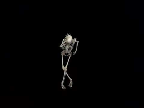 Fx Guru Dancing Skeleton inversé + origine - YouTube