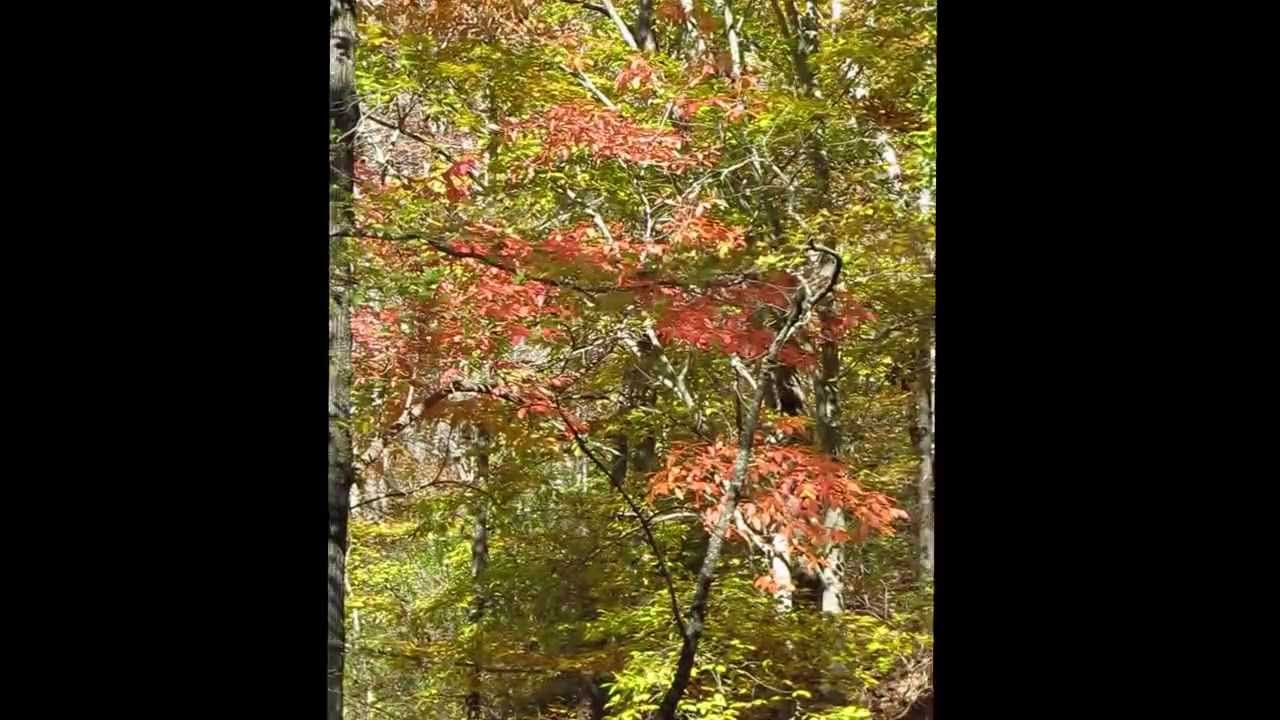 SC Dark Corner Tour Raw Footage - YouTube