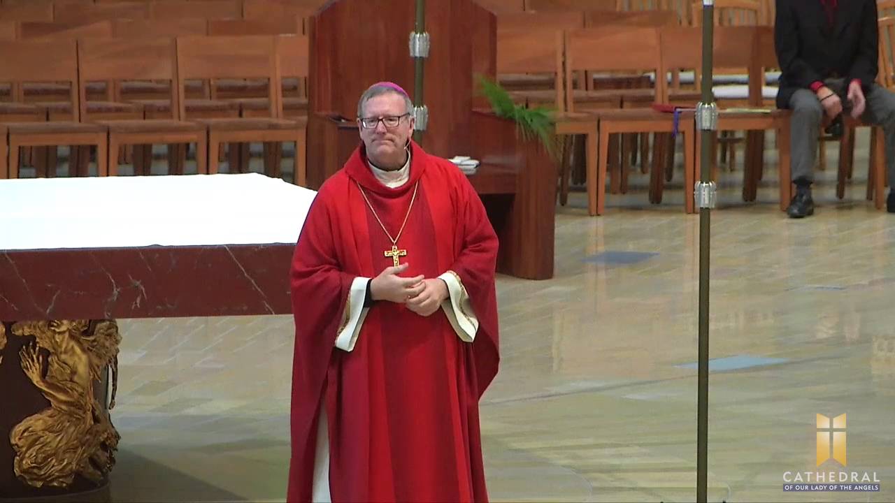 Palm Sunday Homily at the Cathedral, Bishop Robert Barron (3/20/2016 ...