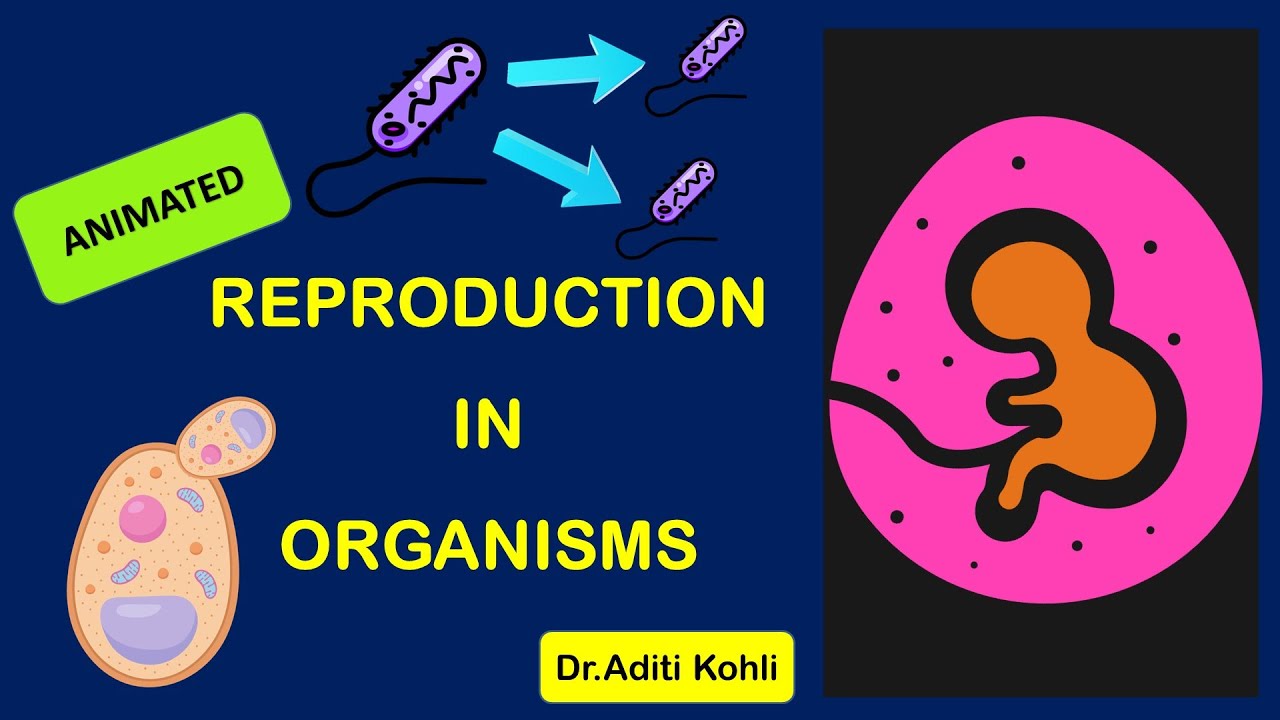 Reproduction in Organisms | Animated video | Types of reproduction ...