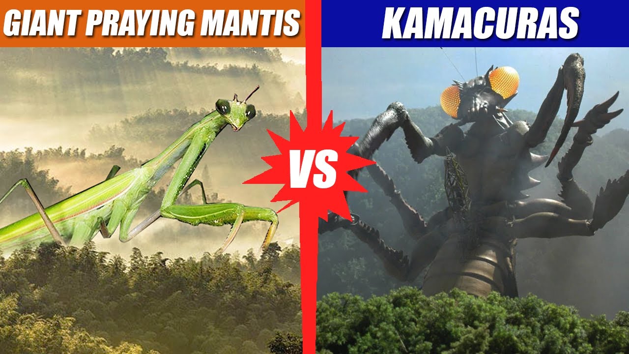 Giant Mantis vs Kamacuras | SPORE - YouTube