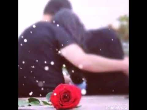 WhatsApp üçün yeni status video və mahnı 2019 mp3