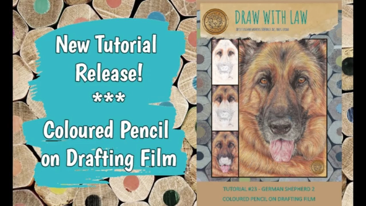 German Shepherd on Drafting Film - New Tutorial Release - YouTube