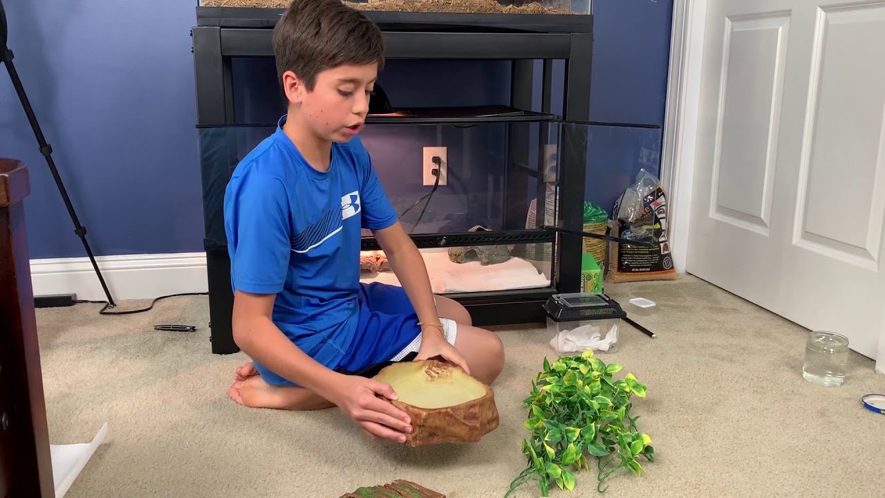 How to setup your garter snake enclosure - YouTube