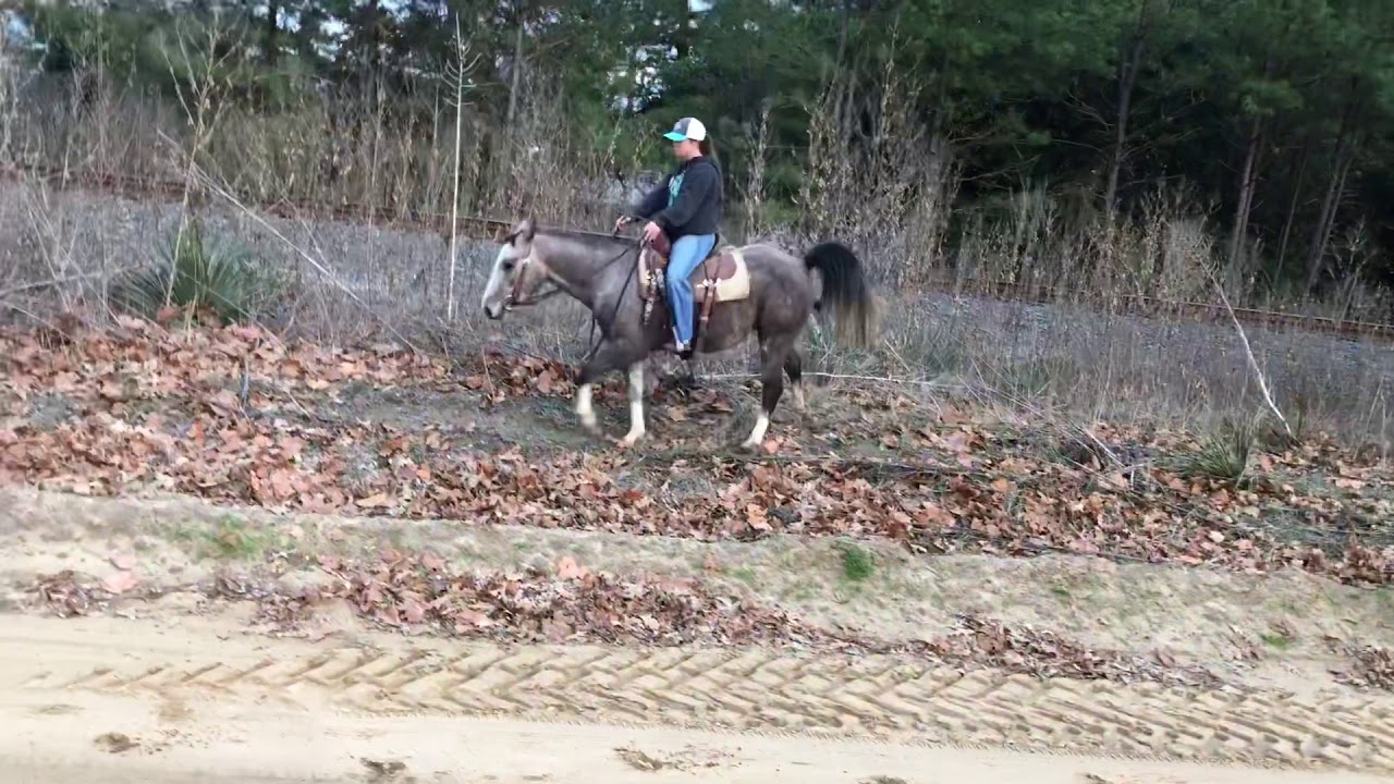 TM Fly Abundantly - YouTube