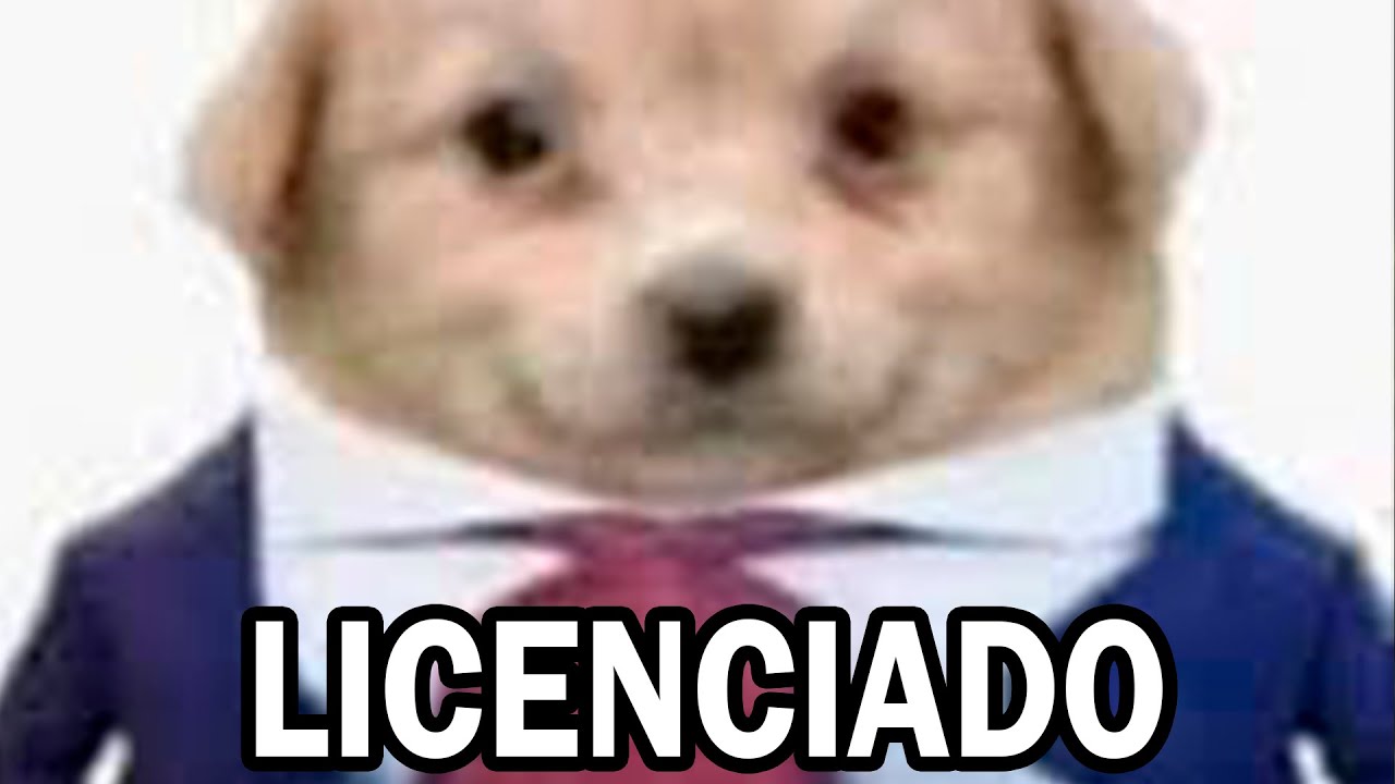 Shitposting Compilation V61 | Shitpost Español - YouTube