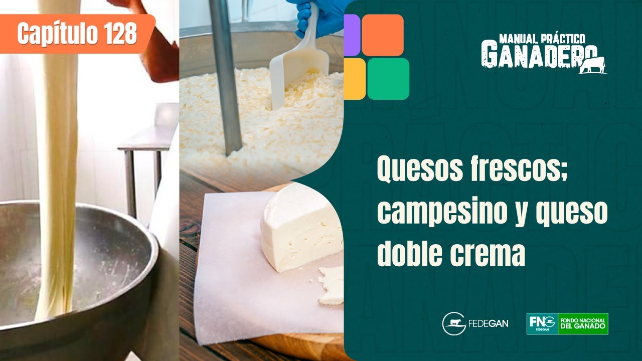 Cap 128 - Queso campesino y doble crema #manualpracticoganadero - YouTube