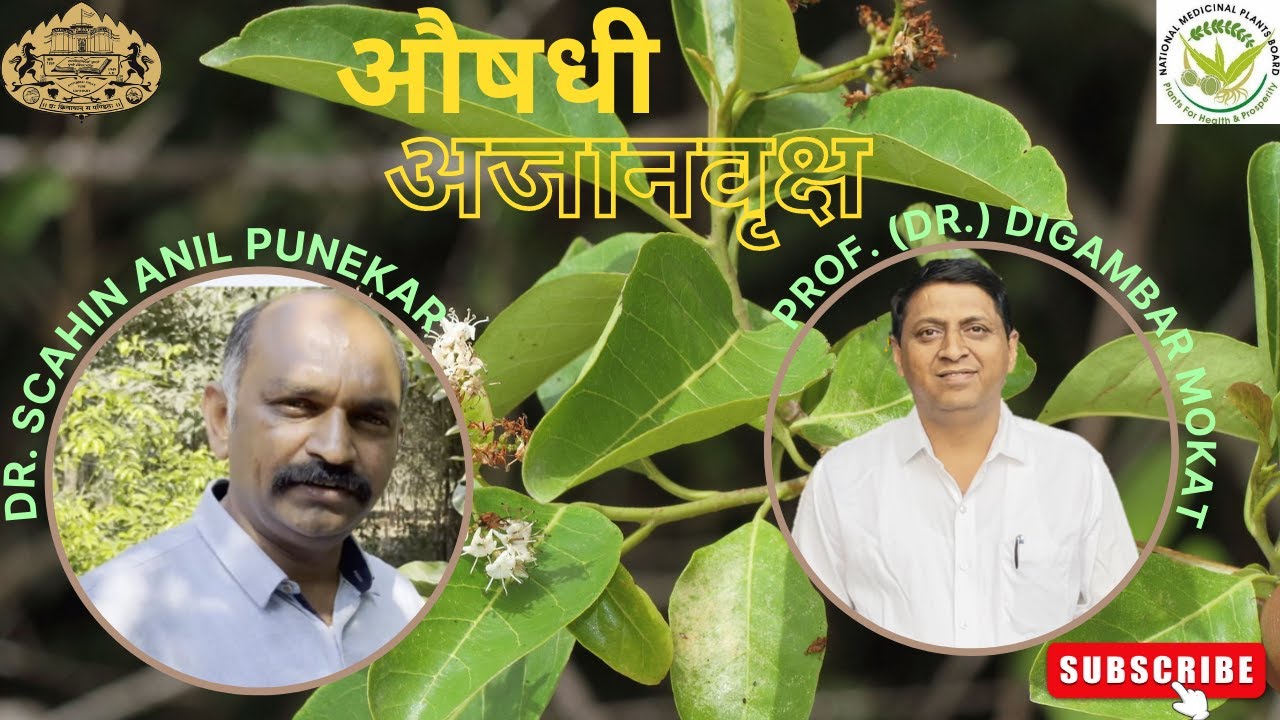 Ajan Vruksha - YouTube