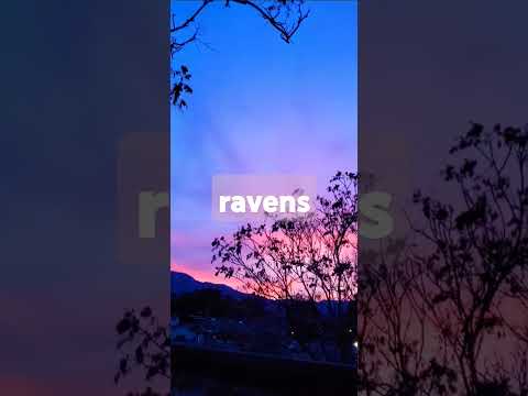 Sunset! Raven pair flies overhead. Mingus Mountain view from my ...