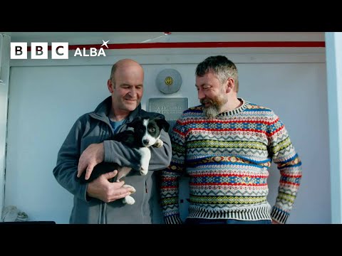 Murdo & Albies Geschichte | Hund mit dir? Pàdruig zur Rettung | BBC ALBA