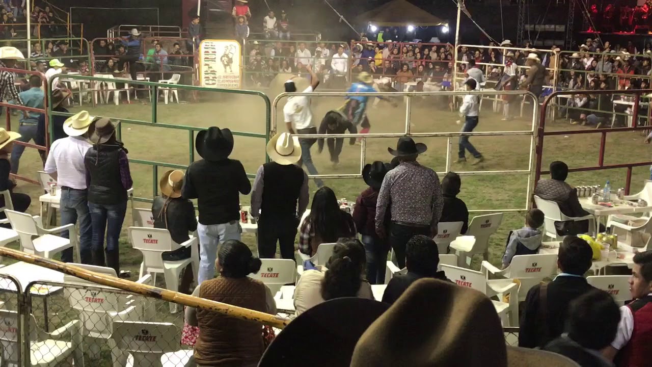 Rodeo baile Texcoco - YouTube