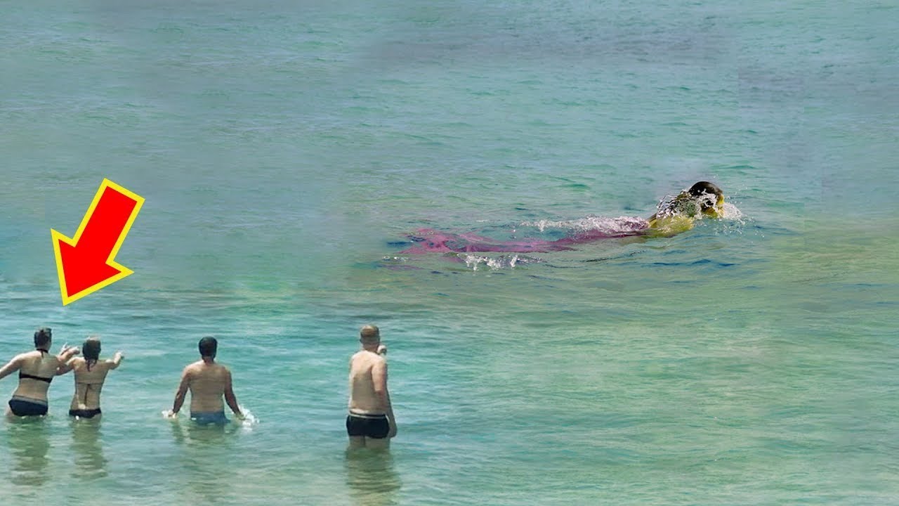 Jalpari in Real Life | real life Mermaid | kya ye real hai | क्या जलपरी ...