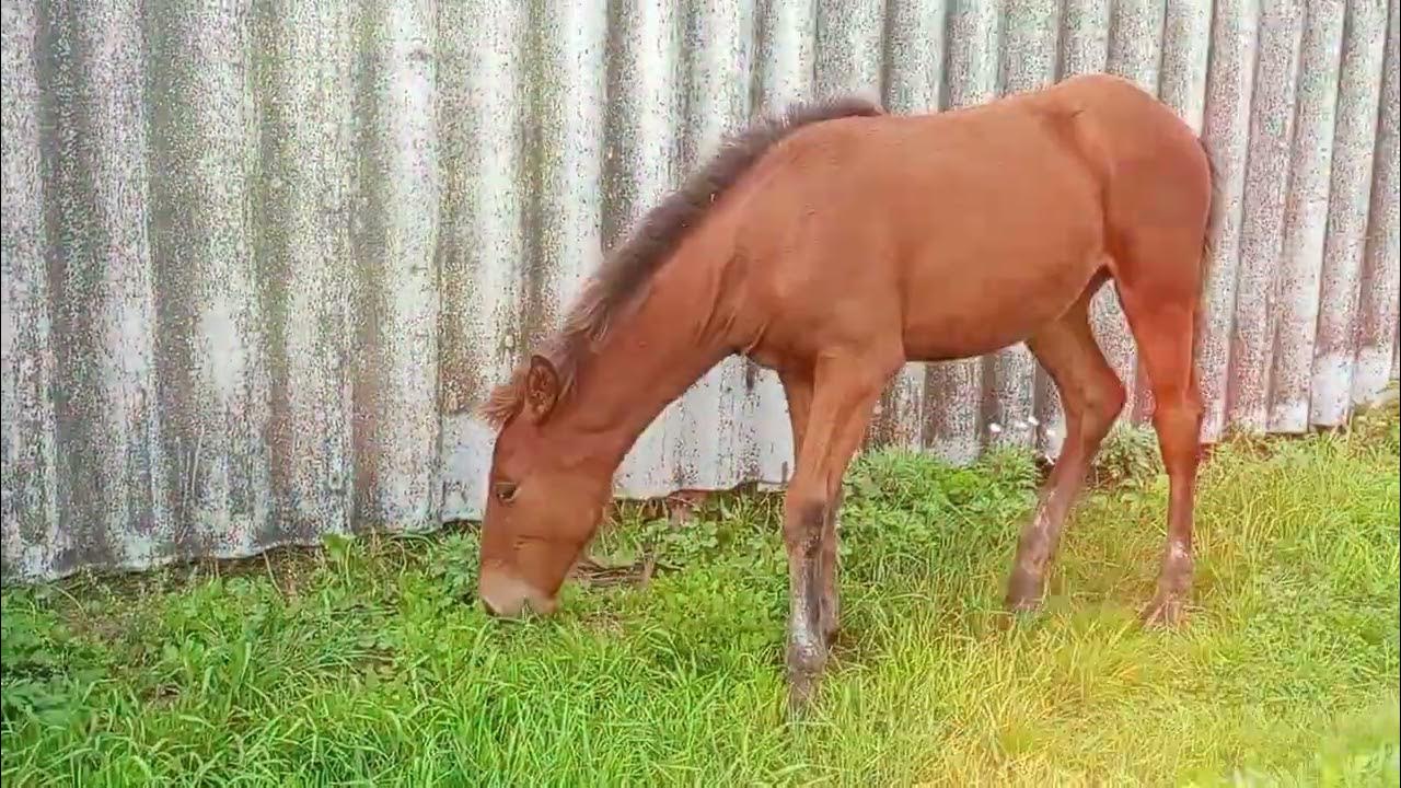 Это же-ребенок - YouTube