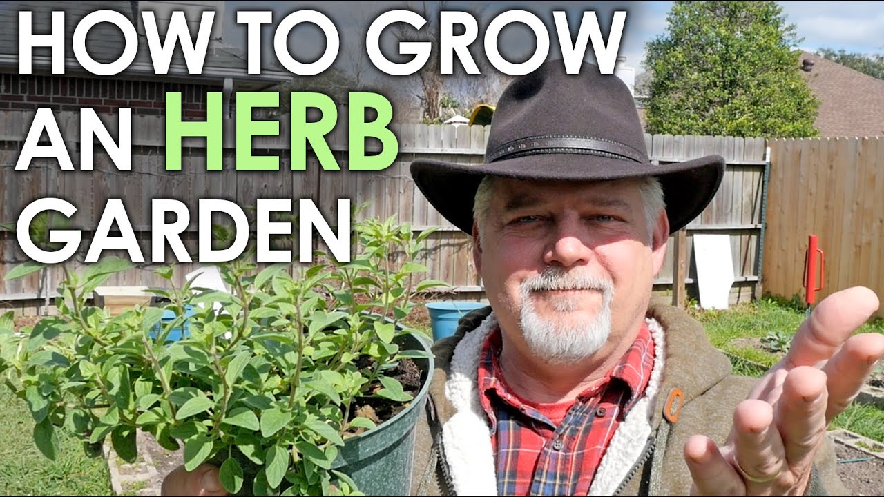 How to Grow an HERB Garden - The EASY DIY Essentials || Black Gumbo ...
