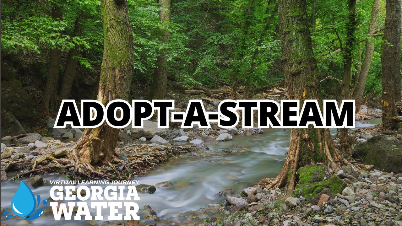 How Adopt-a-Stream programs help protect the environment | Georgia ...