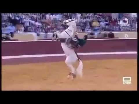 Caballo brillante de la cuadra torera del Rejoneador Andy Cartagena