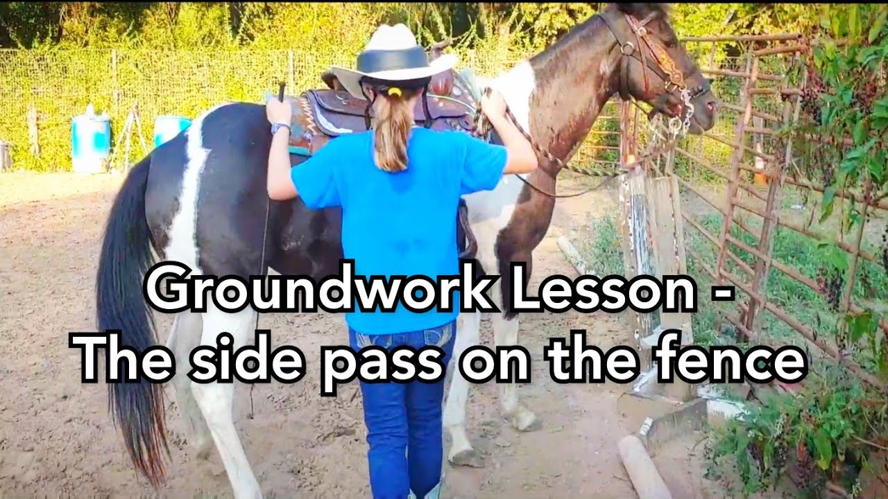 Groundwork Lesson - Side passing moving the horse's ribcage, Beginner Youth - YouTube