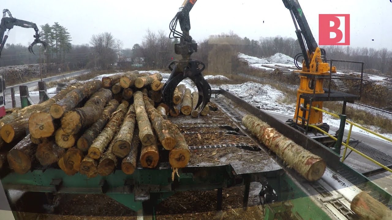 Most Satisfying Factory Wood Cutting Machines Intelligent Equipment ...