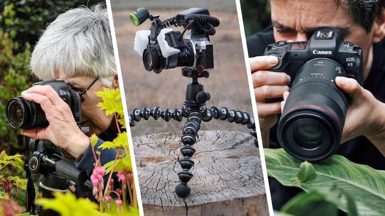 Best Macro Photography Camera for Professional Photographers - YouTube