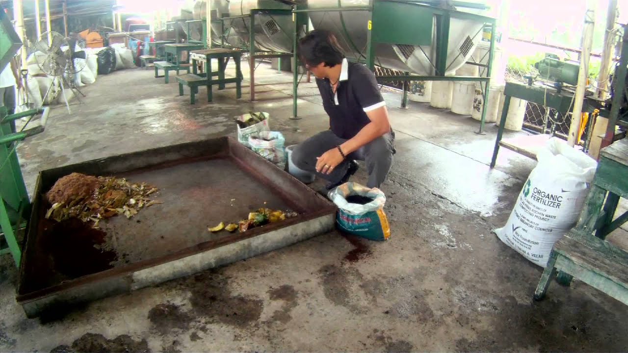 Bringing the las Piñas-Zapote River in The Philippines back to life ...