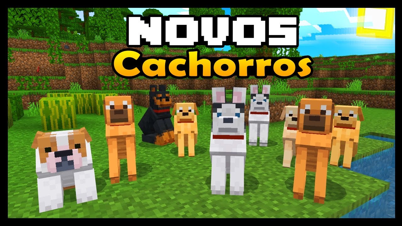 TEXTURA QUE ADICIONA VÁRIOS CACHORROS NO MINECRAFT PE (MCPE) - YouTube