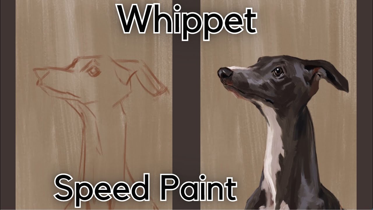 Painting a Whippet - Speed Paint - YouTube