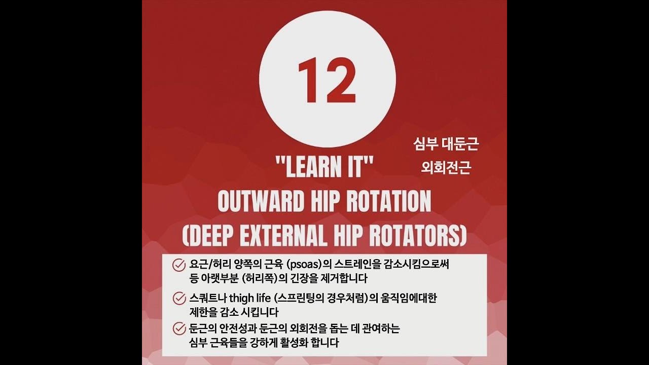 로텍스모션 'LEARN IT'_#12 Outward Rotation Deep External Hip Rotators - YouTube