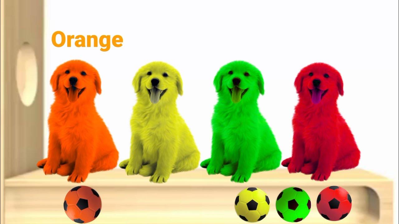 Learn Colors with Dogs Learning Colors for Toddlers - YouTube