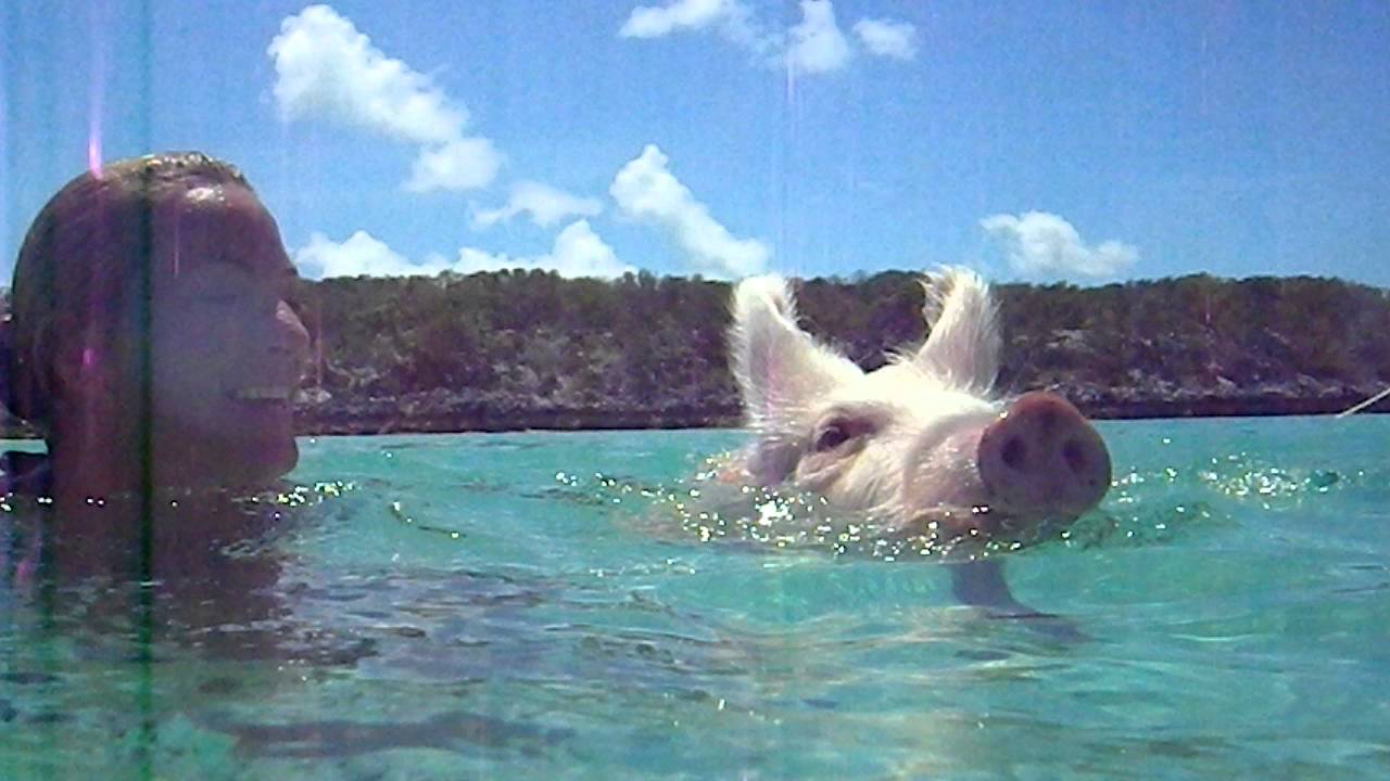Exuma Bahamas Water Cam 269 - YouTube