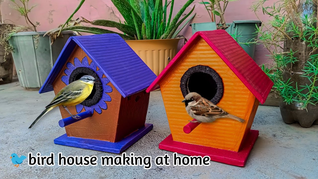 🐦bird house making at home | bird house making at home with cardboard ...